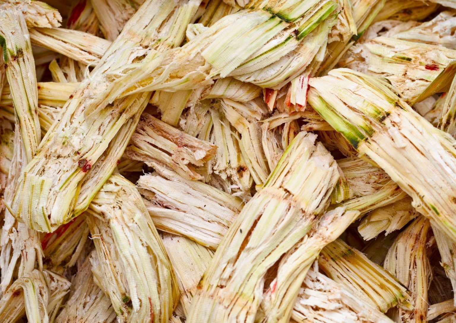 Her sugarcane fiber pad - Her Period Dignity